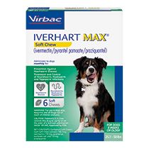IVERHART MAX® Chew (ivermectin/pyrantel pamoate/praziquantel)